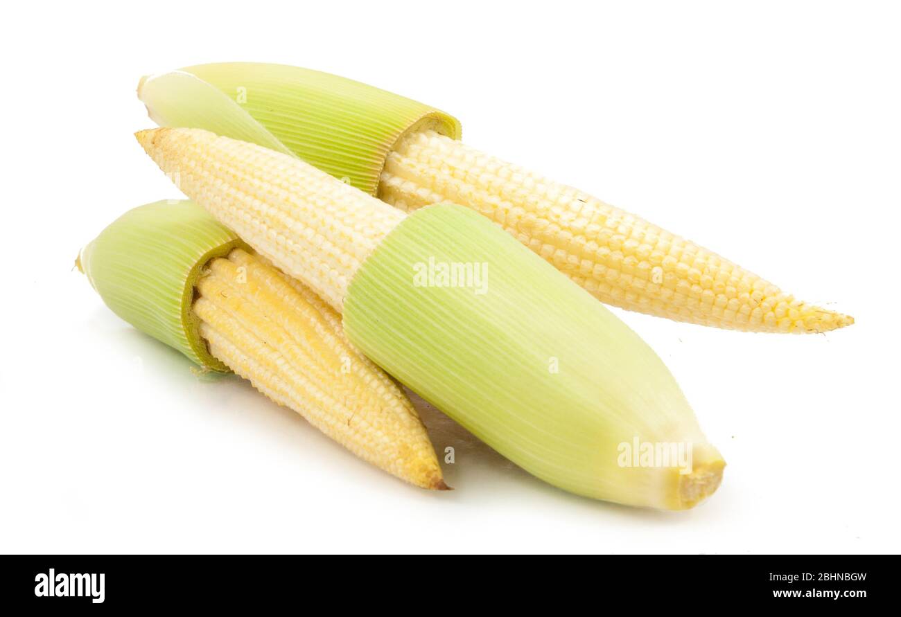 baby corn isolated on white background Stock Photo - Alamy