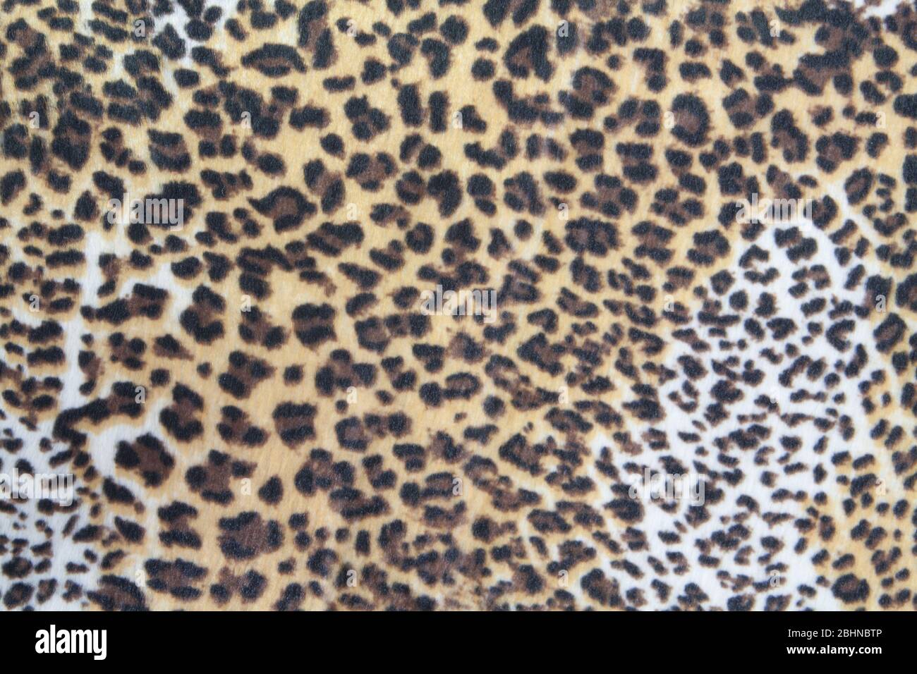 Real leopard skin hi-res stock photography and images - Alamy