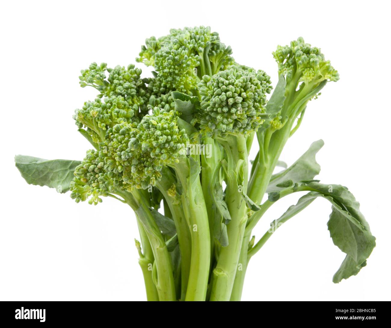 broccolini baby broccoli isolated on white Stock Photo - Alamy