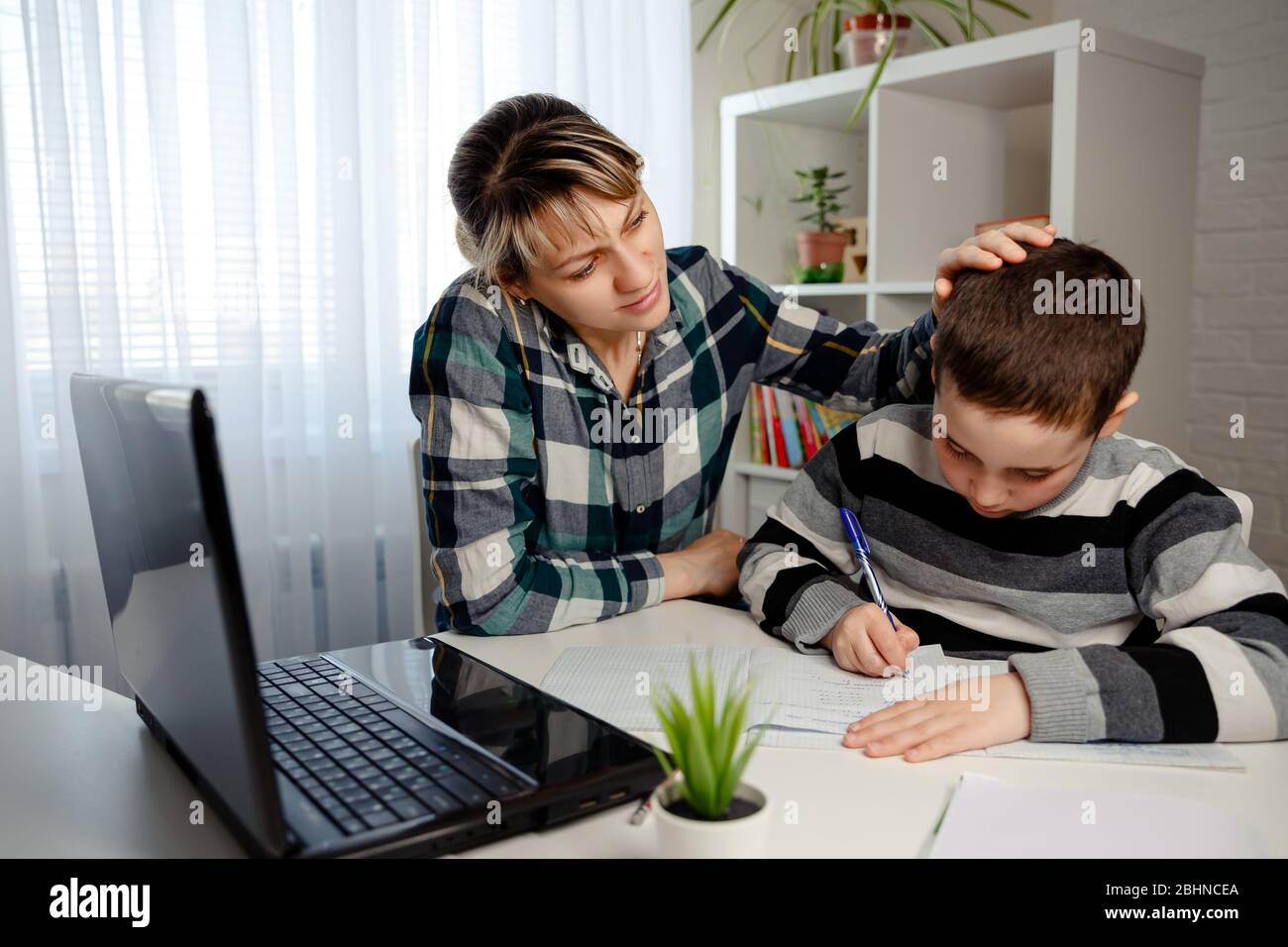 Home schooling. Women helping her son making school homework at home ...