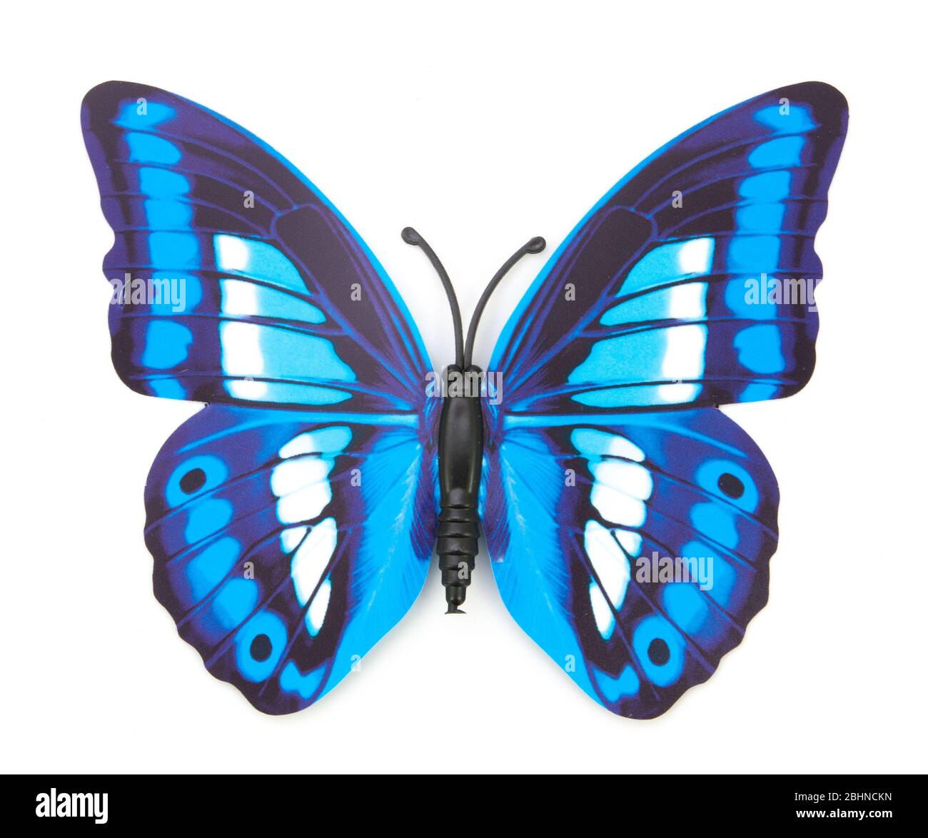 blue fake butterfly isolated white background Stock Photo - Alamy