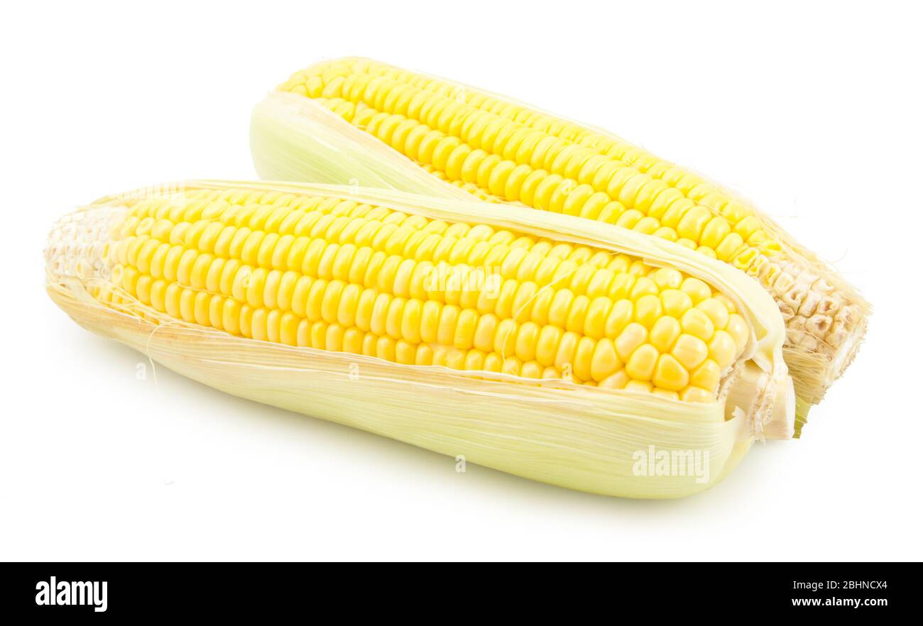 two corn on white background Stock Photo - Alamy