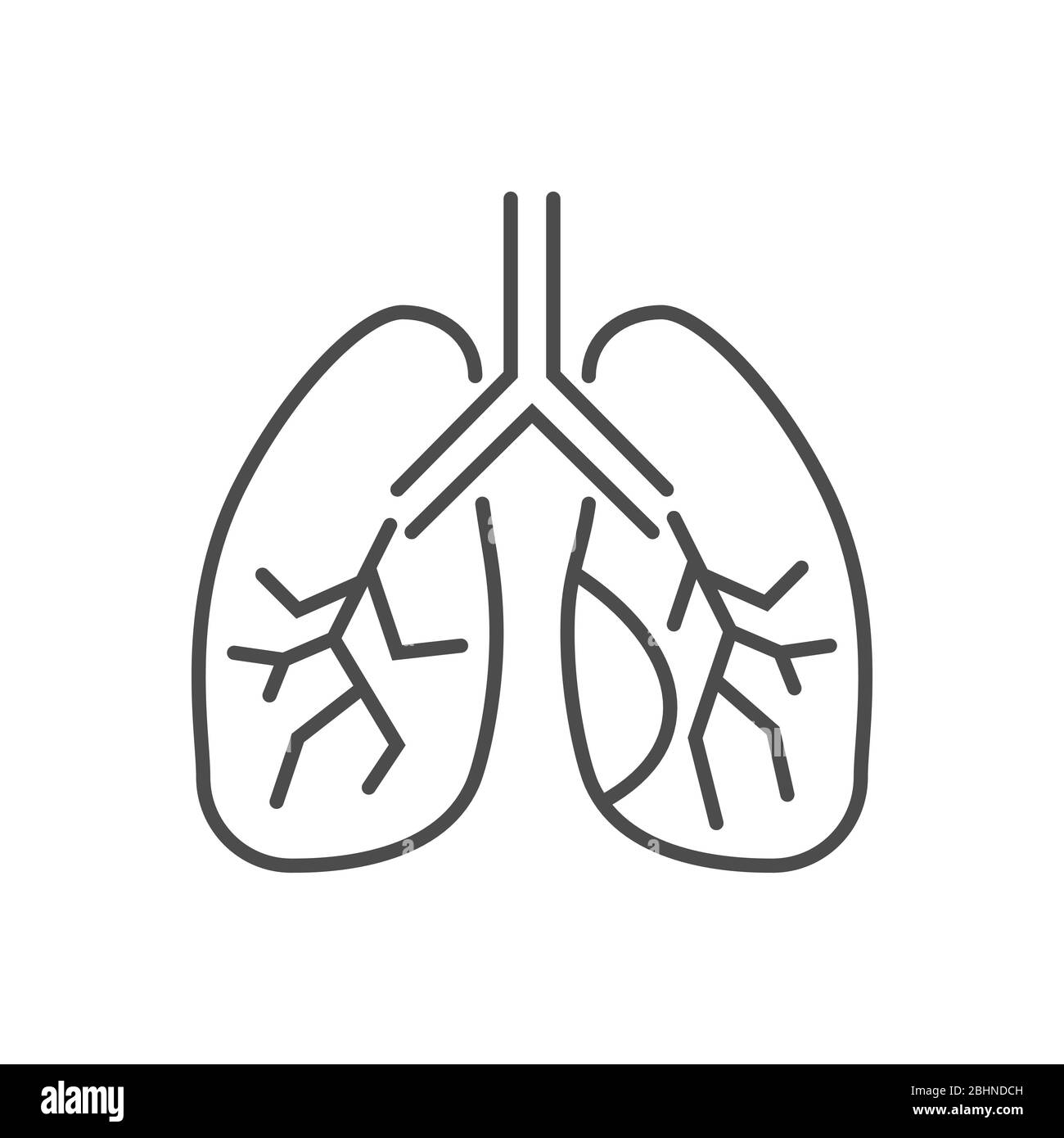 Pulmonary related Cut Out Stock Images & Pictures - Alamy