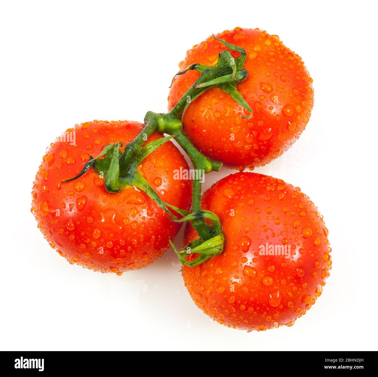 four tomato on white background Stock Photo - Alamy