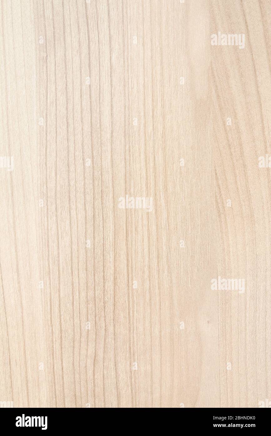 Wood blonde texture for background Stock Photo - Alamy