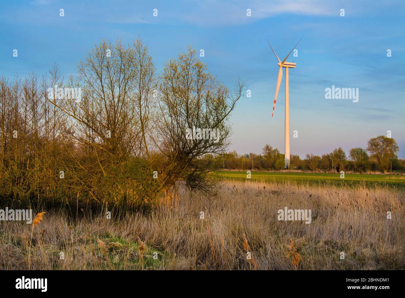 Alternative landscapes hi-res stock photography and images - Alamy