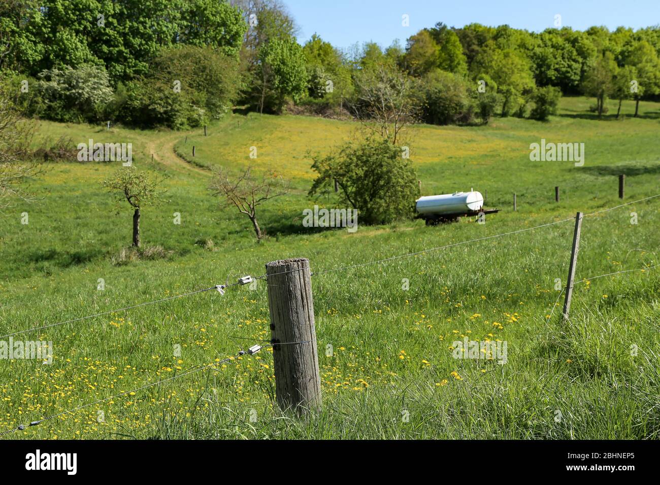 Spring landscape with pastures fenced by an electric fence Stock Photo ...