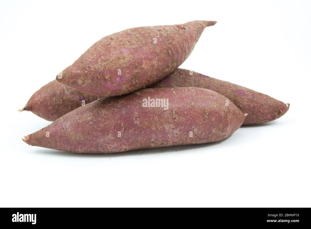 tapioca plants cassava closeup isolated on white background Stock Photo ...
