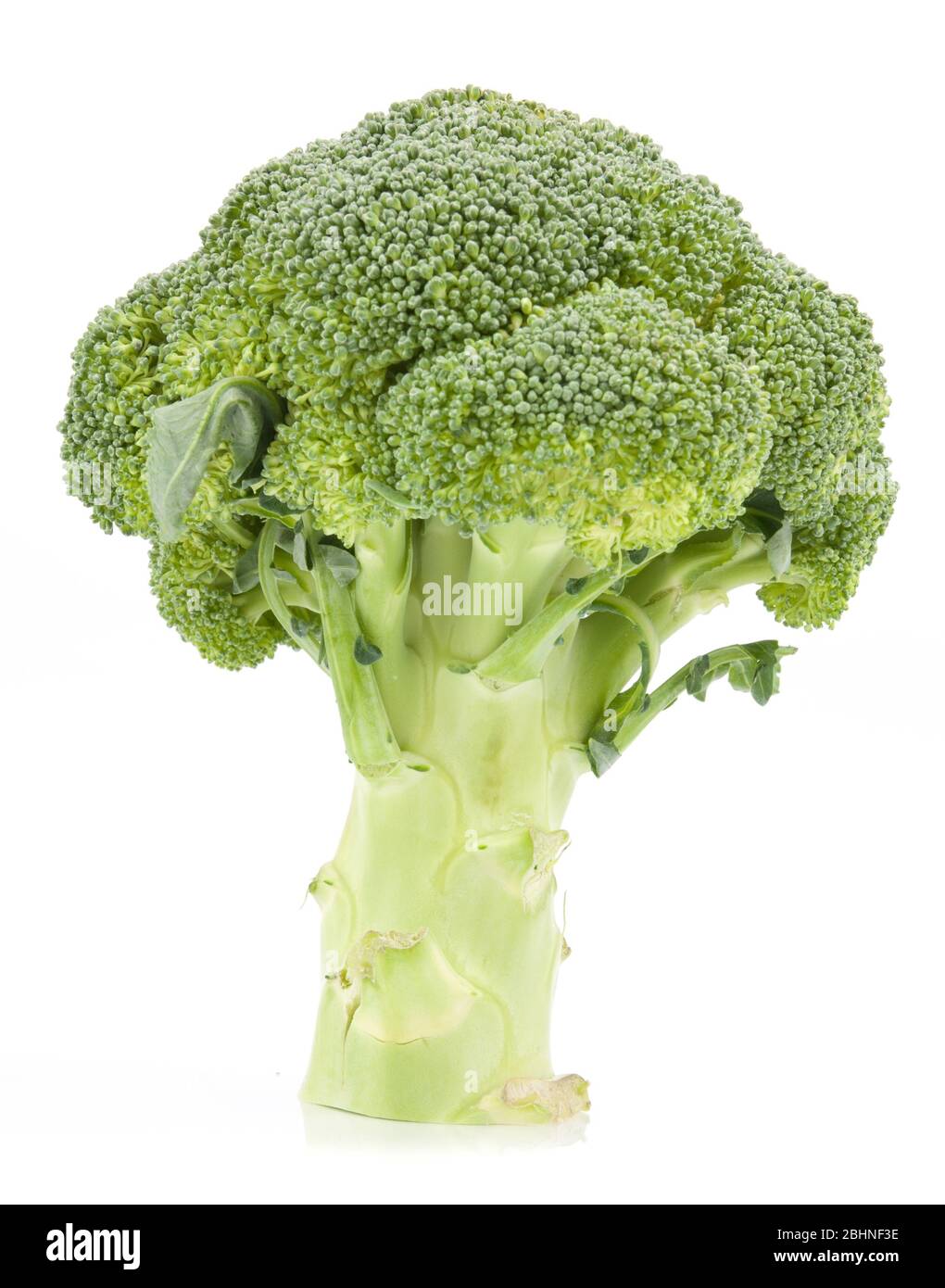 broccoli isolated on white background Stock Photo - Alamy