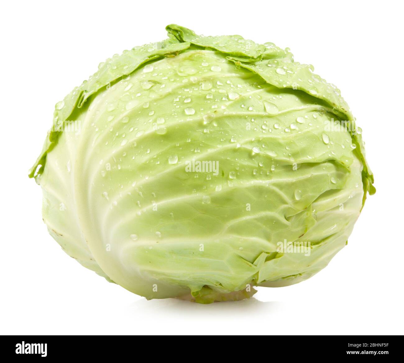 green cabbage water drop isolated on white background Stock Photo - Alamy
