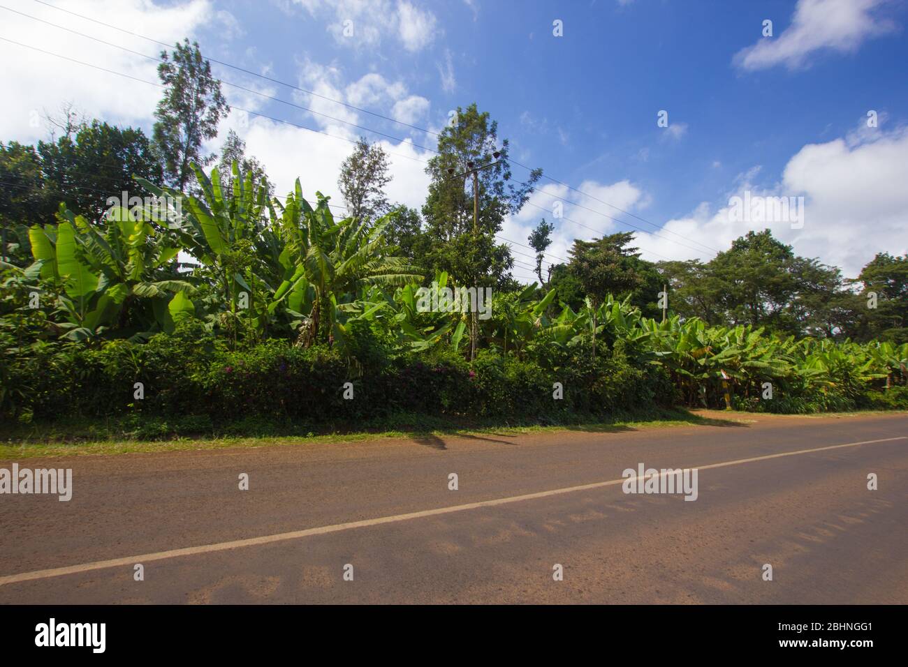 Marangu hi-res stock photography and images - Alamy