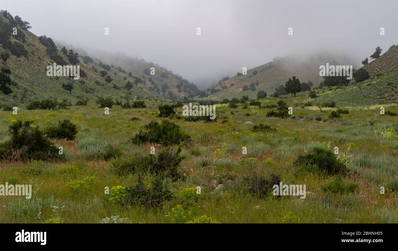 Mountains and valley of the Golestan National Park in Iran Stock Photo ...