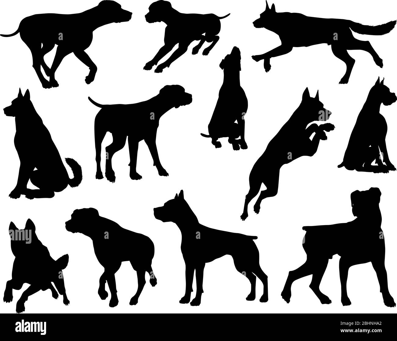 Rottweiler silhouettes hi-res stock photography and images - Alamy