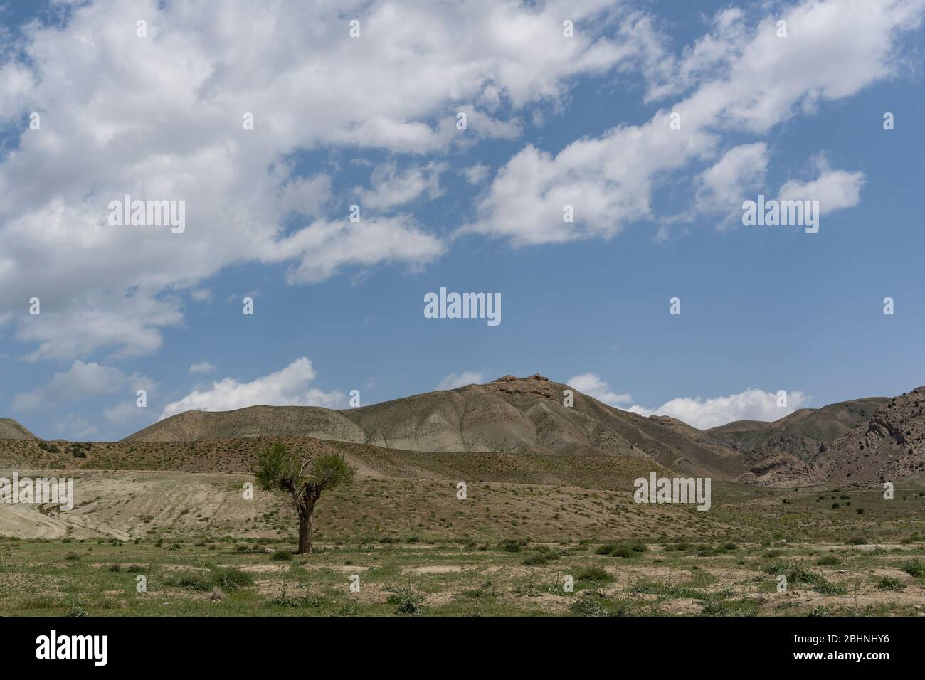 Mountains and hills with a single tree near Amiriyeh Firuzkuh in the ...
