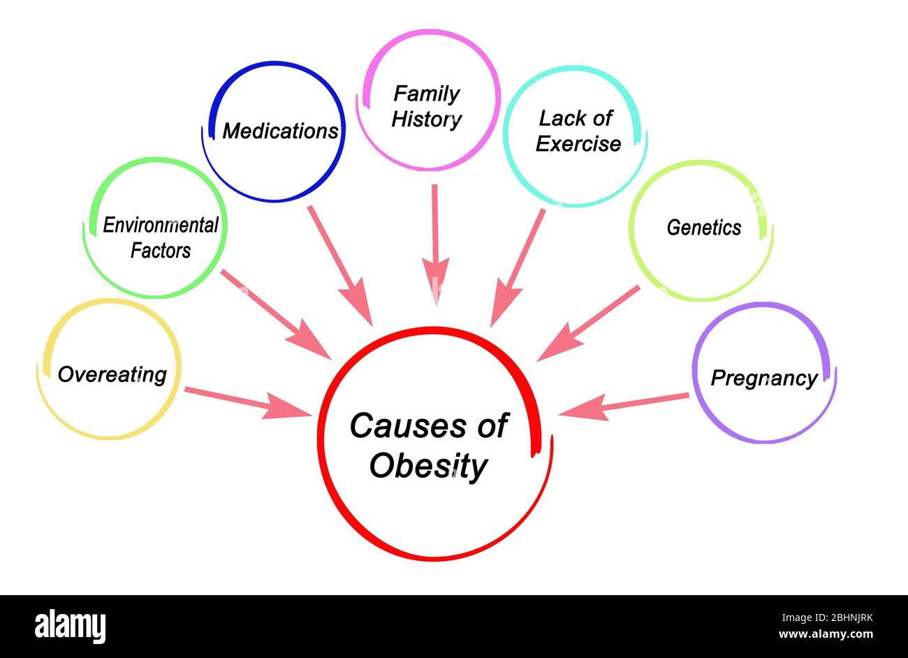 Causes Of Obesity Pictures