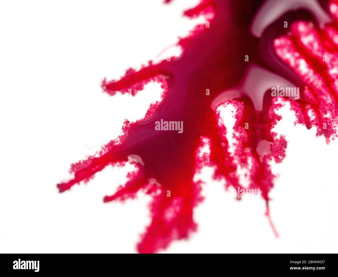 Dripping Splatter Paint