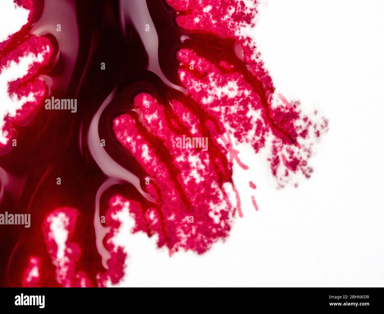 red colorl drops. Paint dripping. Dripping liquid.. abstract paint ...