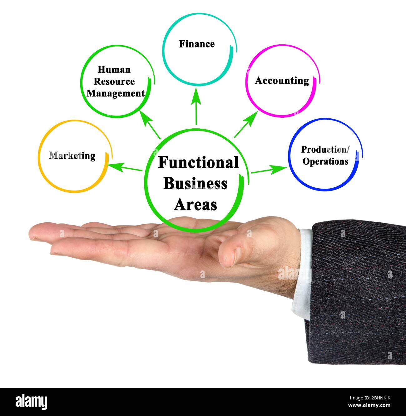 Presenting Five Functional Business Areas Stock Photo - Alamy