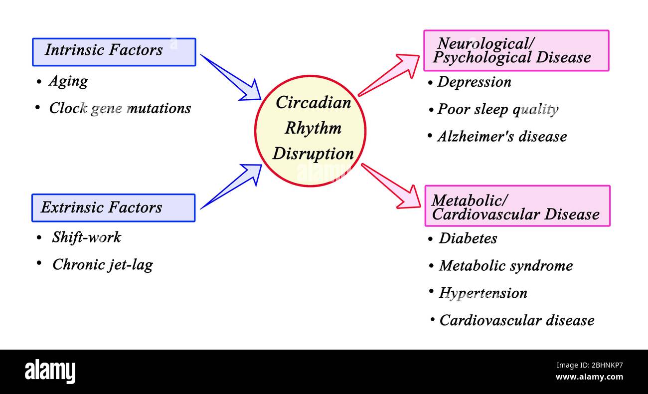 Circadian Rhythm Disruption: Causes and consequences Stock Photo - Alamy