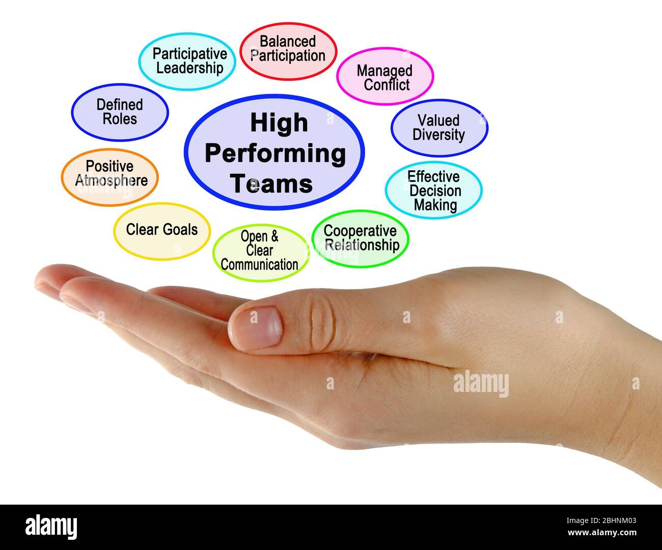 Participatory Decision Making