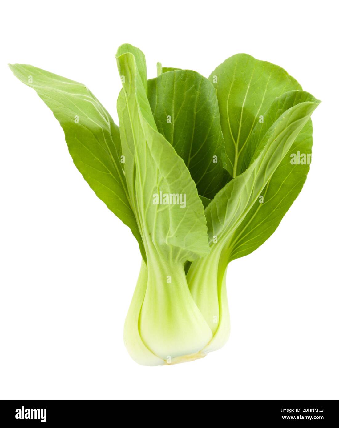 Baby Pak Choy (Chinese Cabbage) on white Stock Photo - Alamy