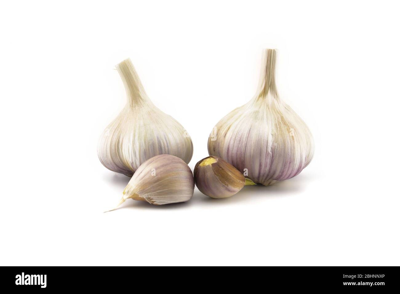 Garlic bulbs and cloves in close-up isolated on white background Stock ...