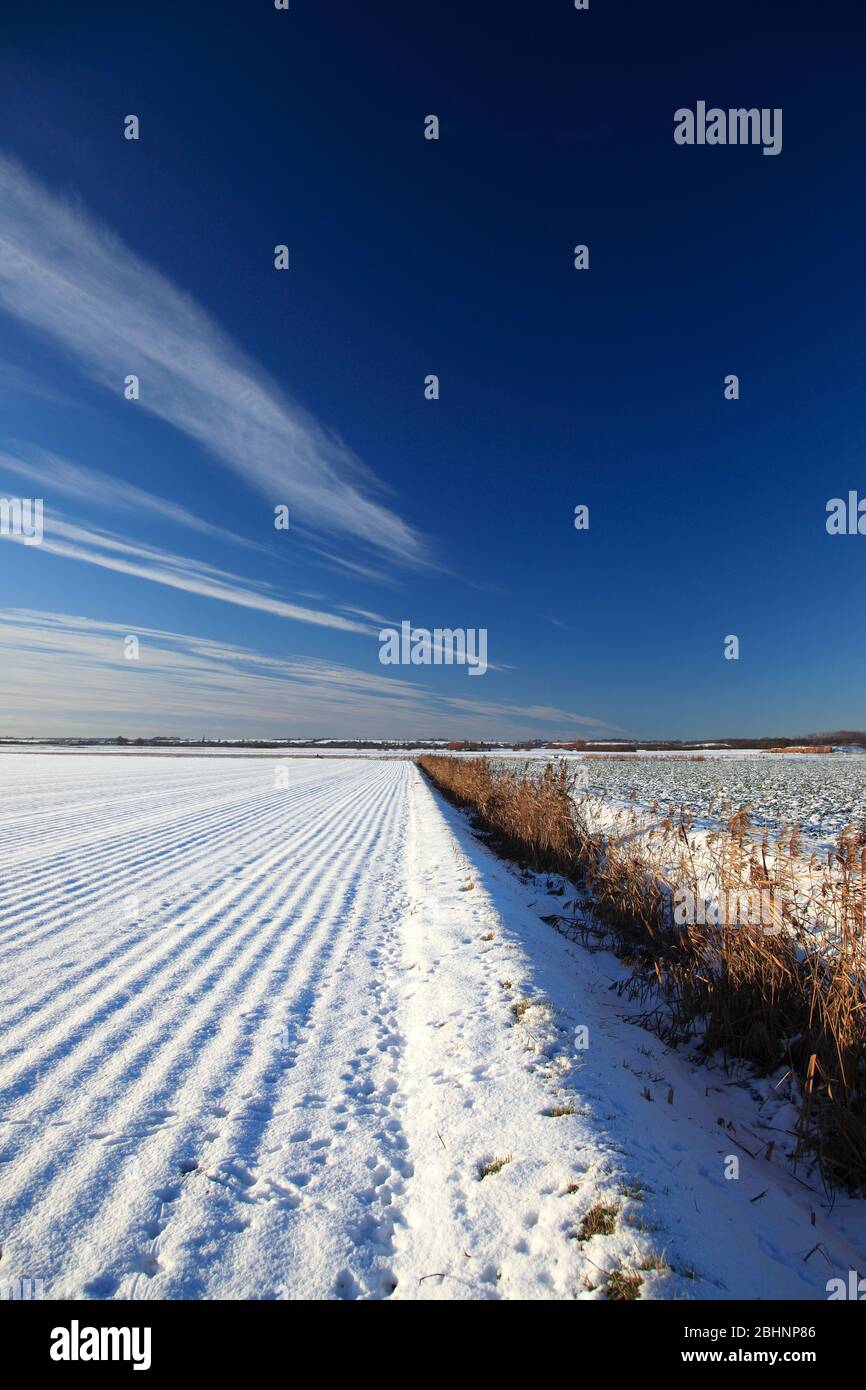 Winter fens hi-res stock photography and images - Alamy