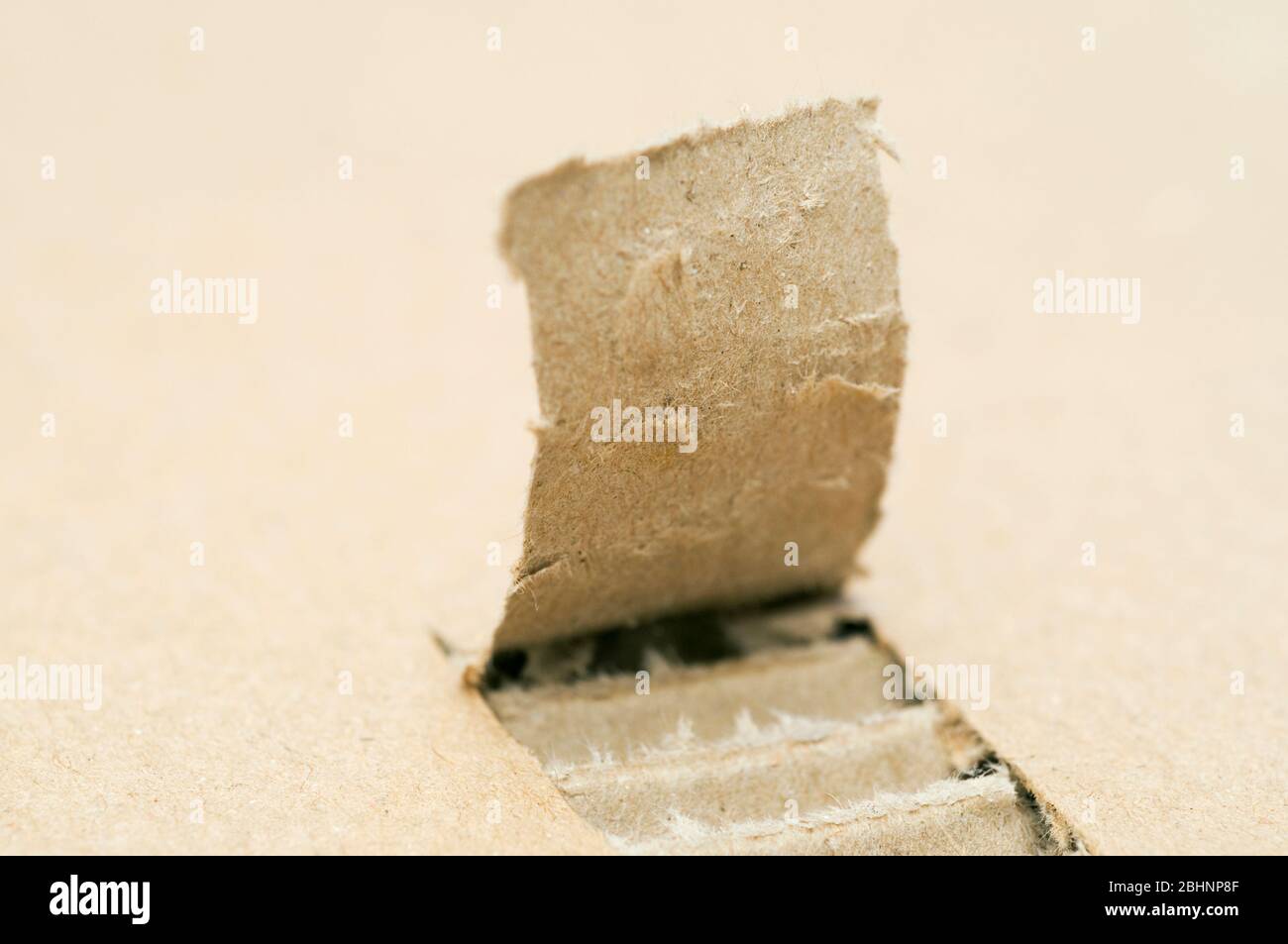 Cardboard section close up hi-res stock photography and images - Alamy