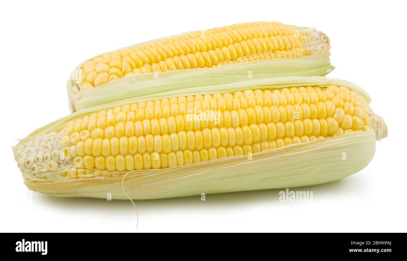 two corn on sack background Stock Photo - Alamy