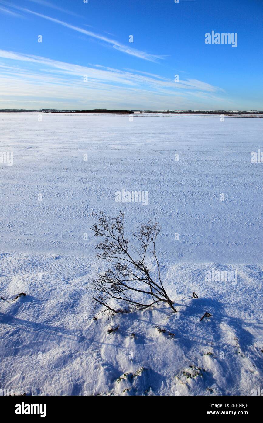Winter fens hi-res stock photography and images - Alamy