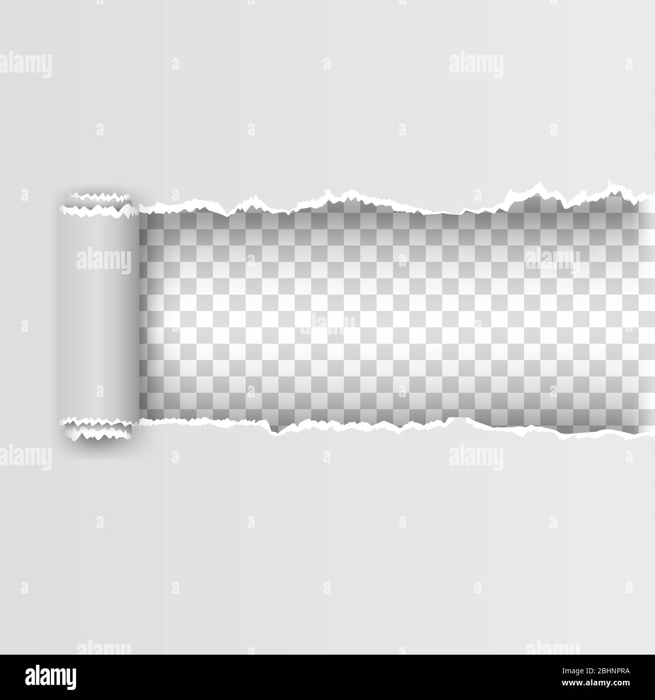 white vector torn paper with ripped edges and scroll. Paper frame for ...