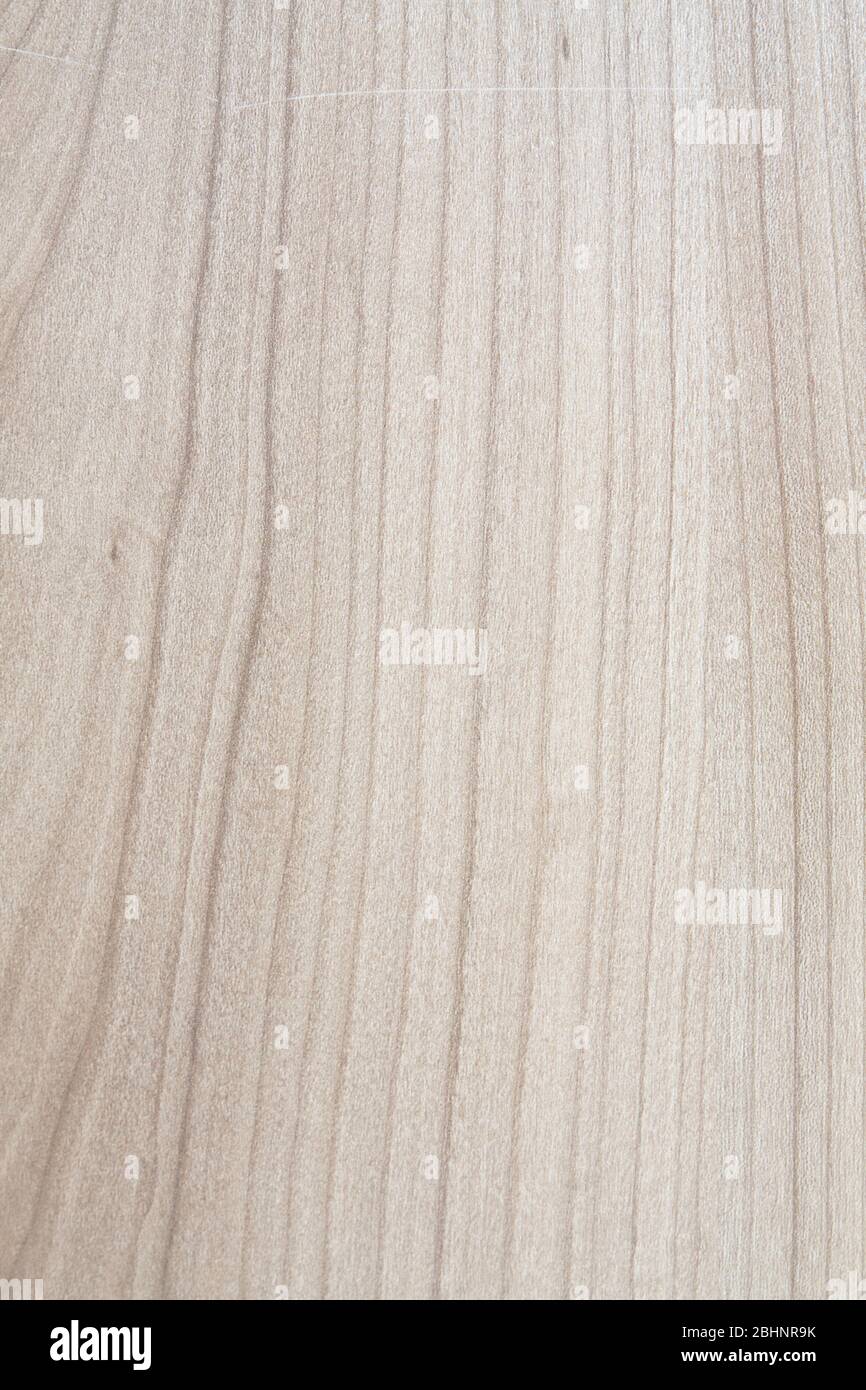 High resolution blonde wood texture Stock Photo - Alamy
