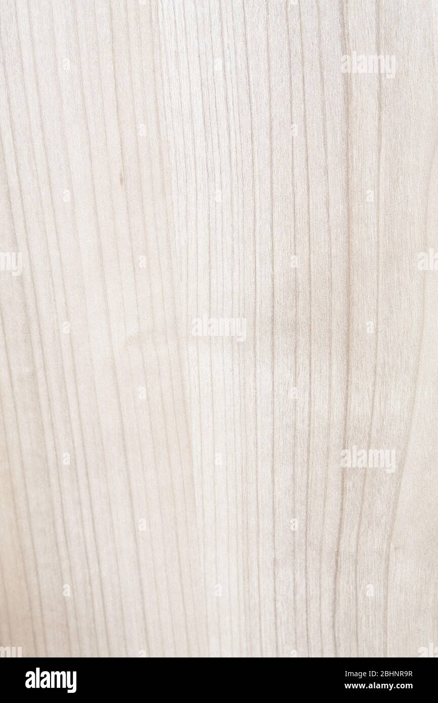 High resolution blonde wood texture Stock Photo - Alamy