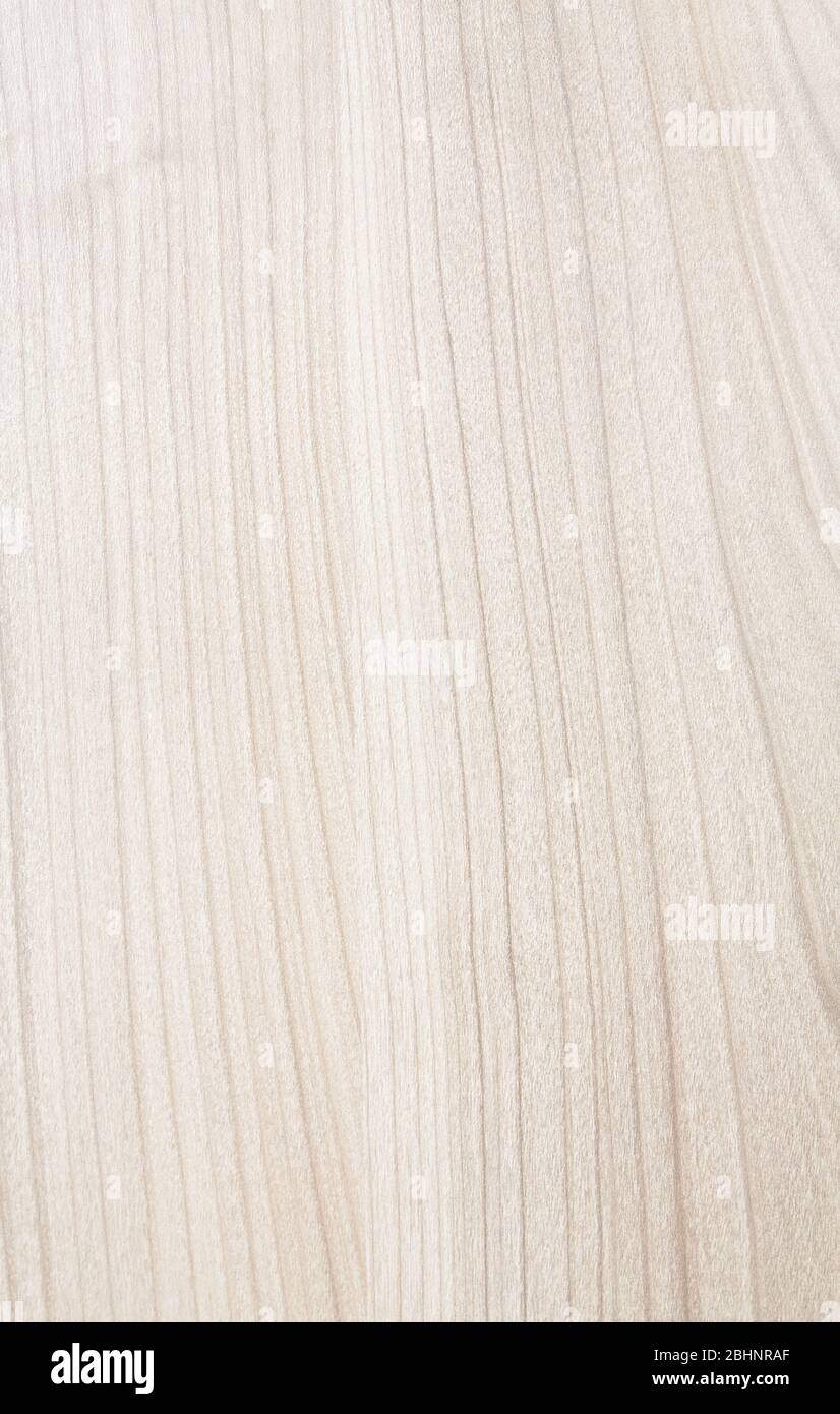 High resolution blonde wood texture Stock Photo - Alamy