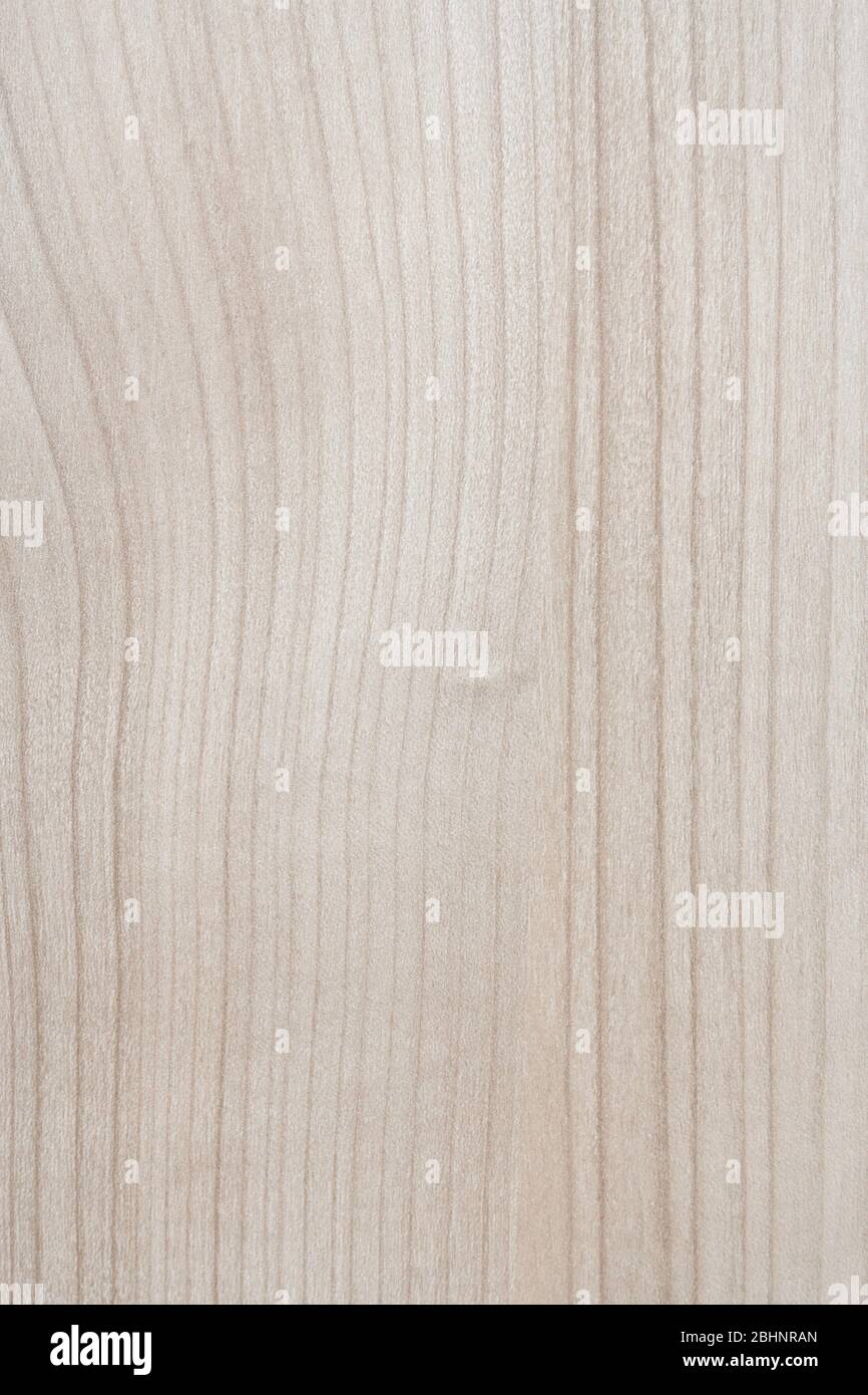High resolution blonde wood texture Stock Photo - Alamy