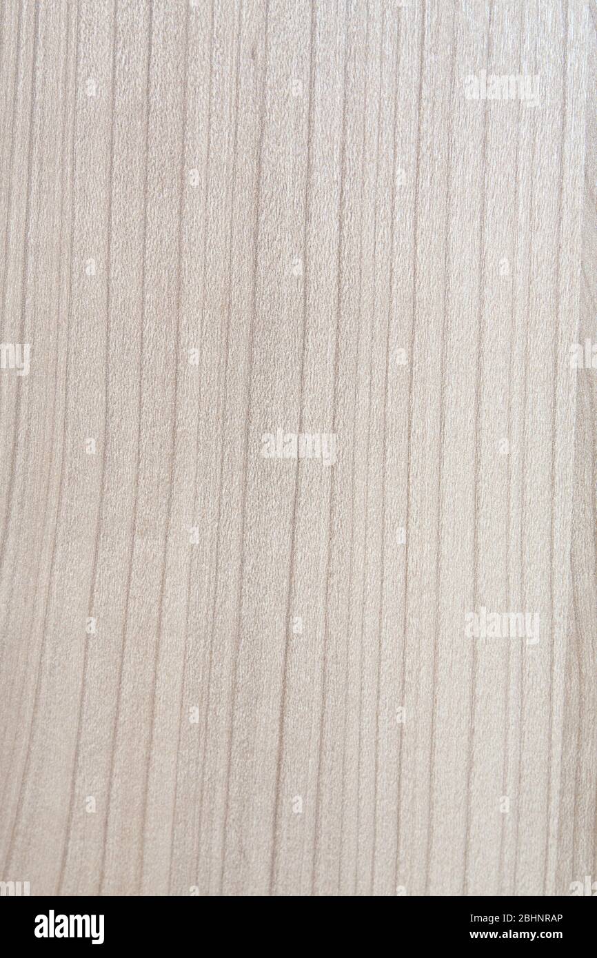 High resolution blonde wood texture Stock Photo - Alamy