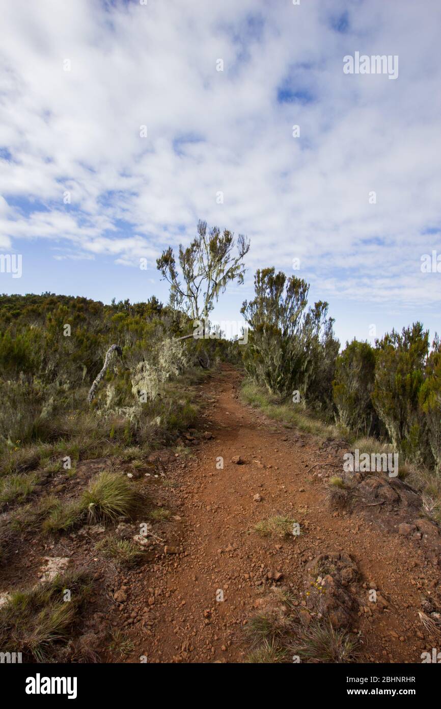 Read earthy path in the african mountains Stock Photo - Alamy