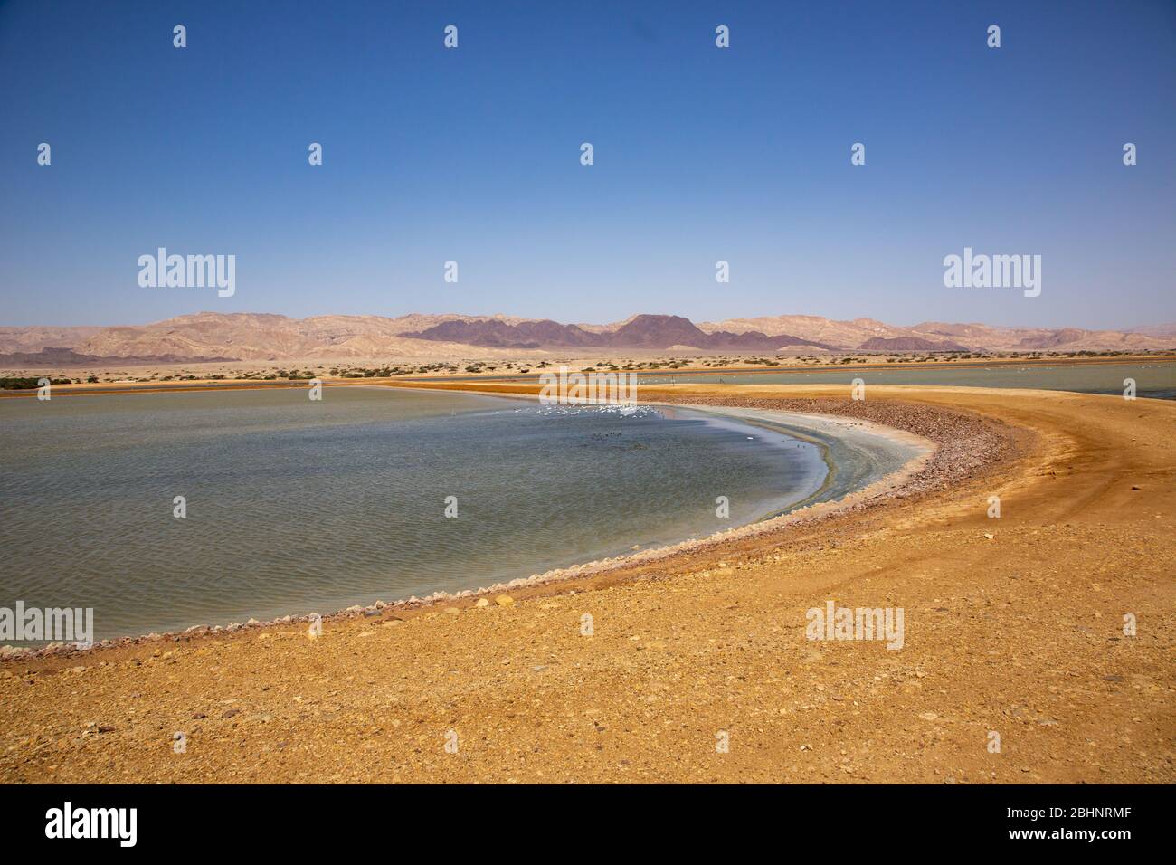 Salt of the earth hi-res stock photography and images - Alamy