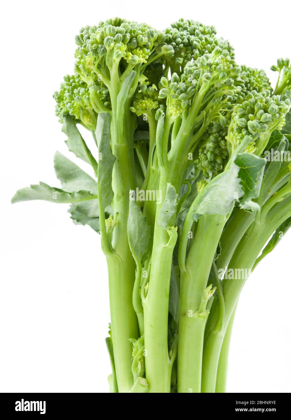 baby broccoli isolated on white Stock Photo - Alamy