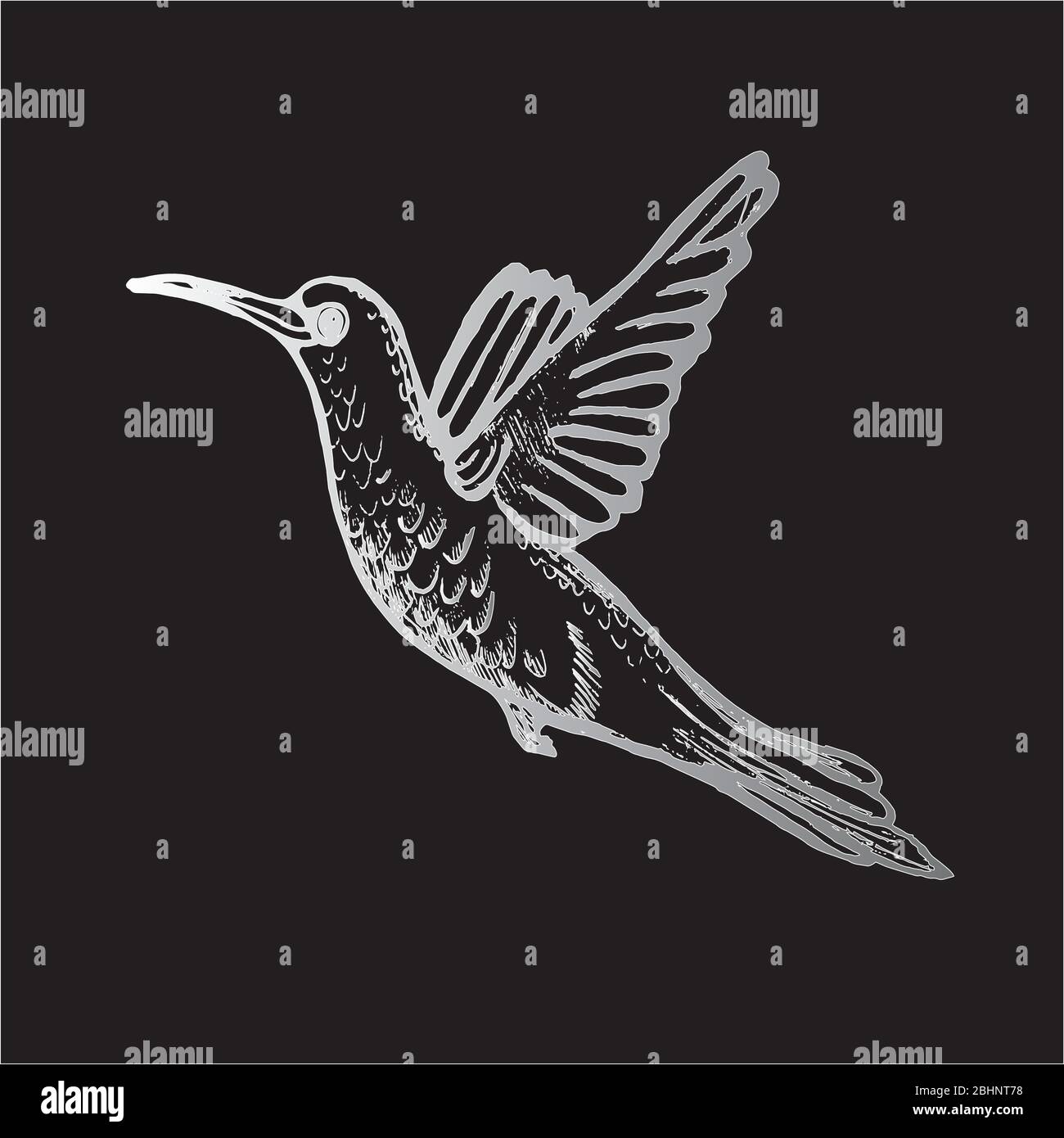 Illustration of a flying hummingbird. A little sophisticated bird ...