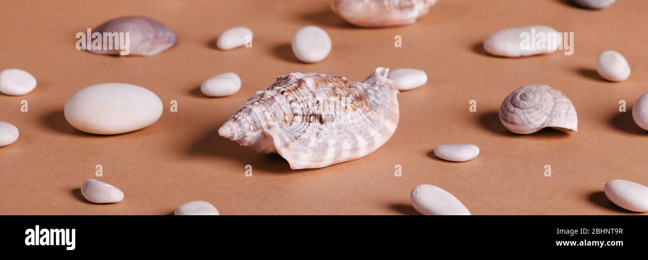Summer pattern of pebbles and shells Earth tone banner Stock Photo - Alamy
