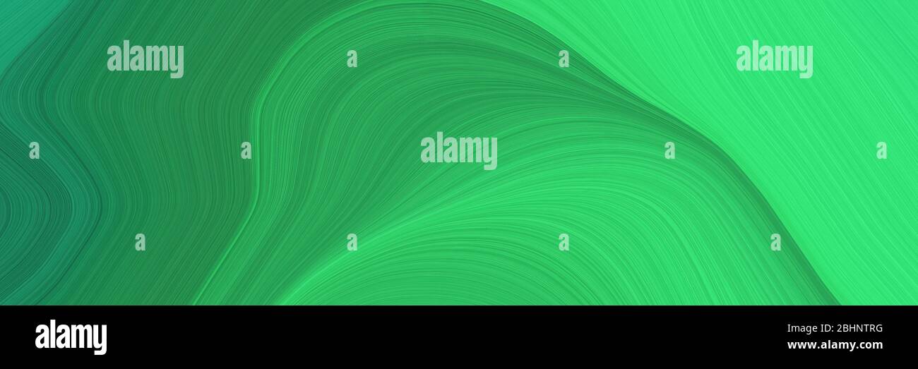 elegant decorative canvas design with sea green, medium sea green and ...