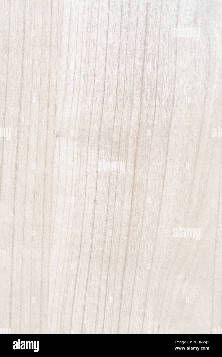 High resolution blonde wood texture Stock Photo - Alamy