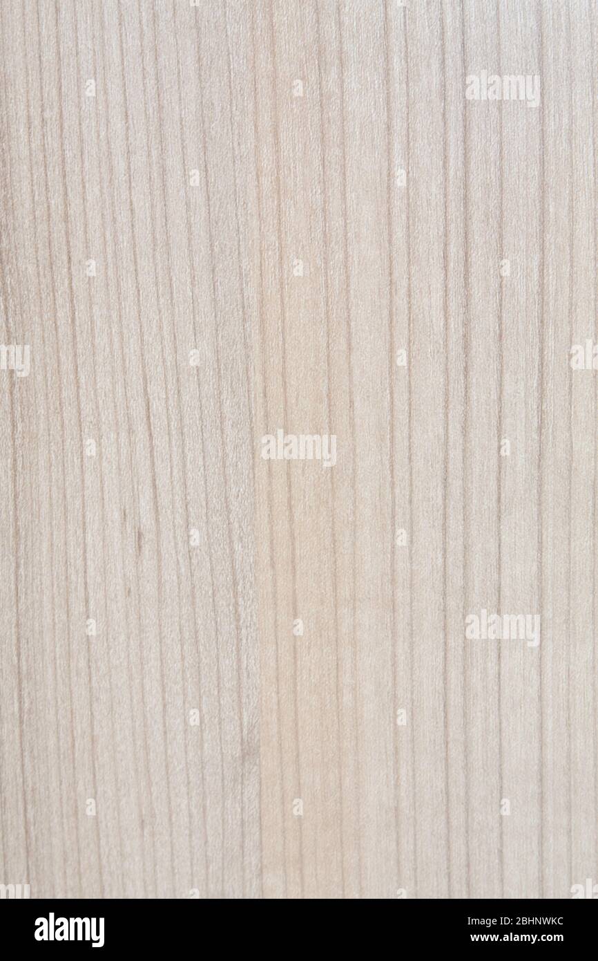 High resolution blonde wood texture Stock Photo - Alamy