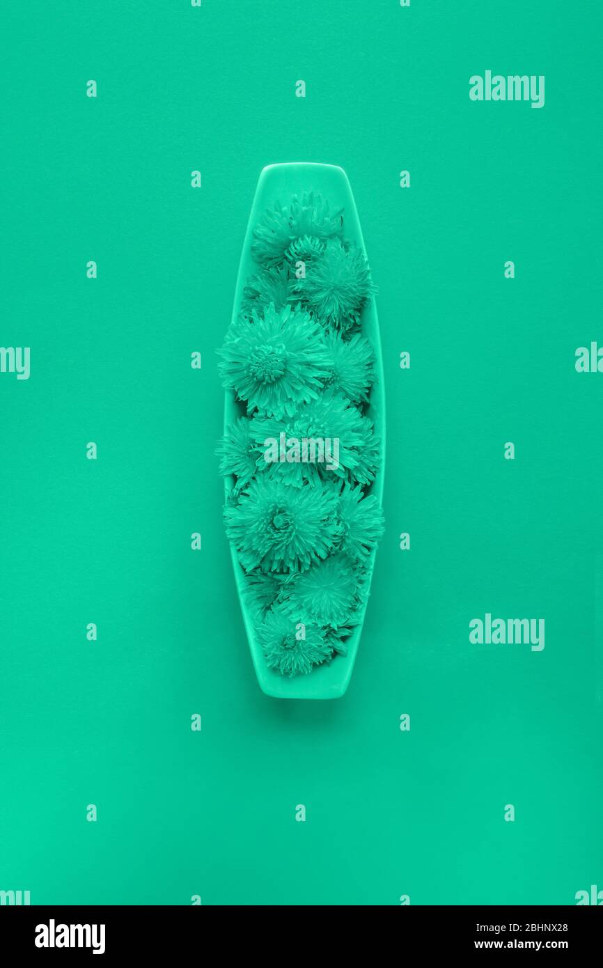 Vertical creative composition with dandelion heads on white plate as ...