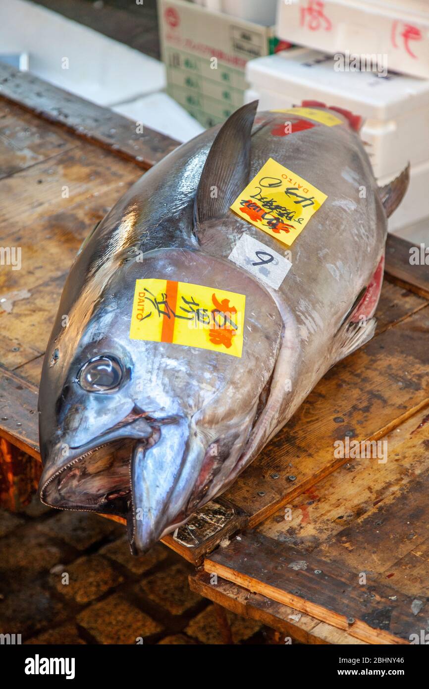 Tokyo tuna fish hi-res stock photography and images - Alamy