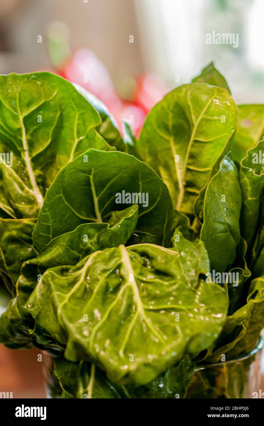 Fruit and vegetables are washed and disinfected before entering the ...