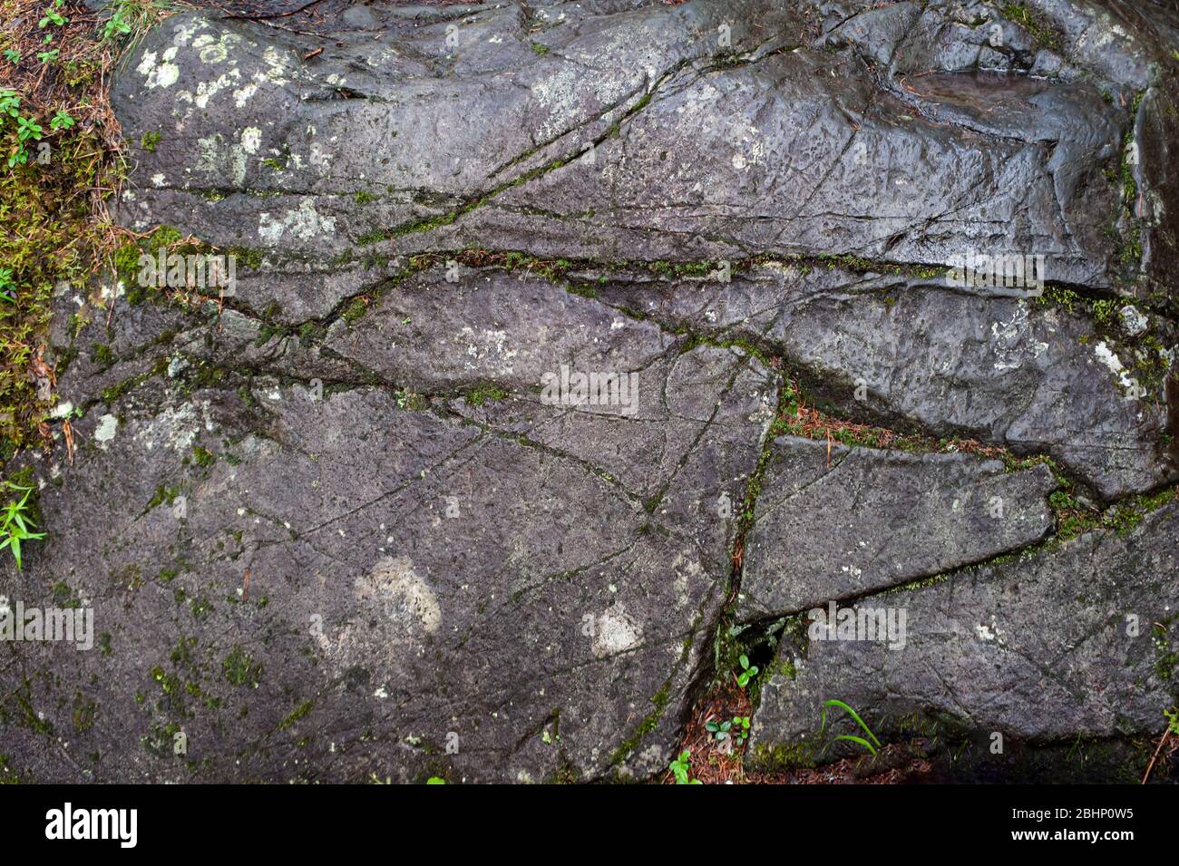 Wet stone texture with a moss Stock Photo - Alamy