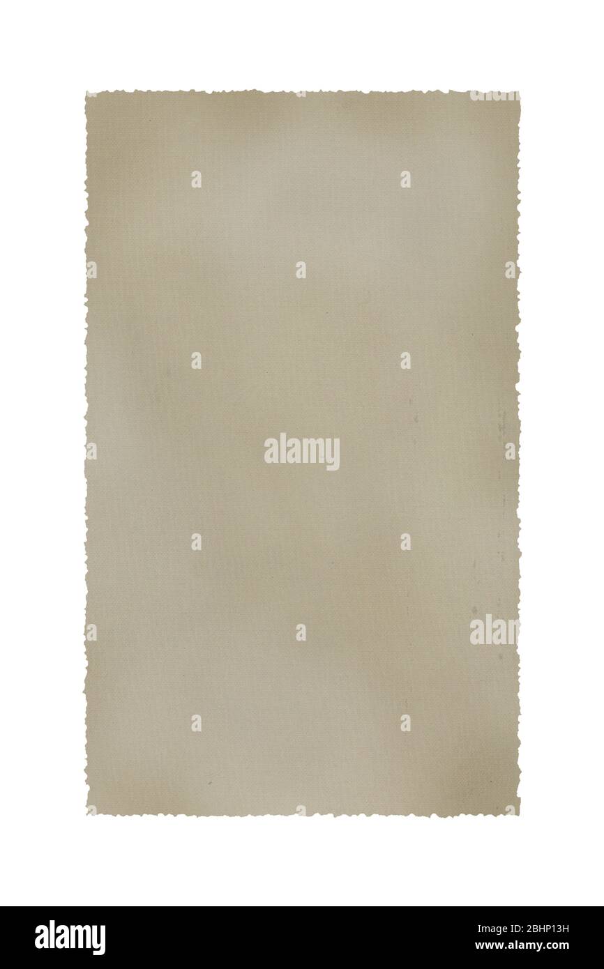 Papyrus isolated on white background Stock Photo - Alamy