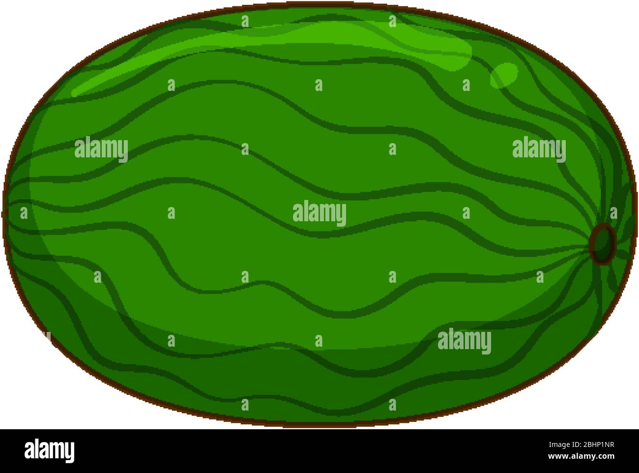 One watermelon on white background illustration Stock Vector Image ...